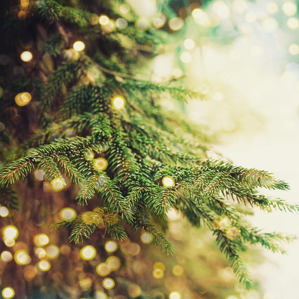 Aria di Natale - Museo del Carbone